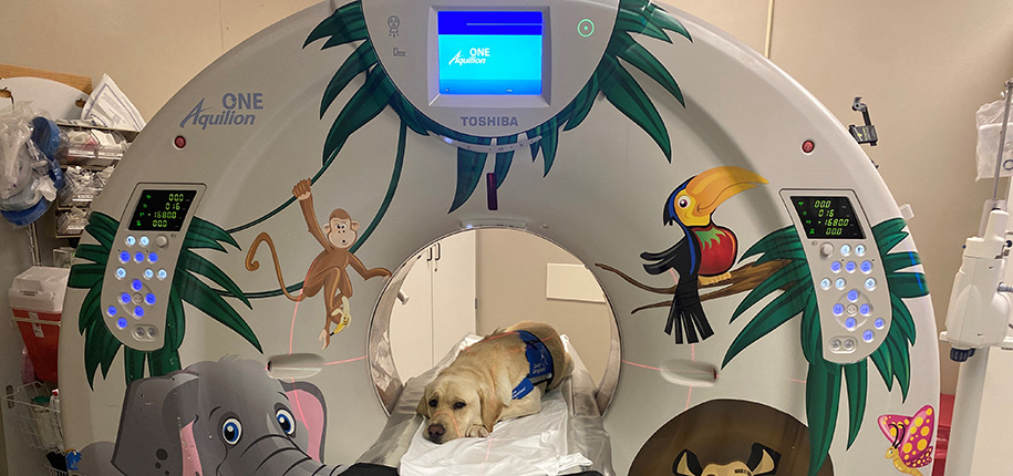 Radiology Department Welcomes Facility Dog - Radiating Hope
